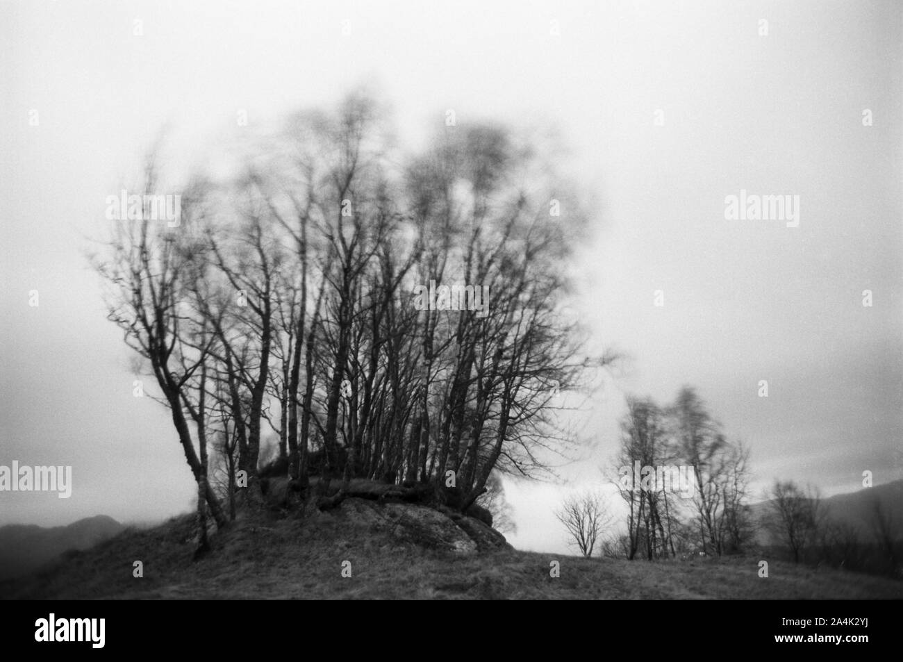Cold and windy weather Black and White Stock Photos & Images - Alamy