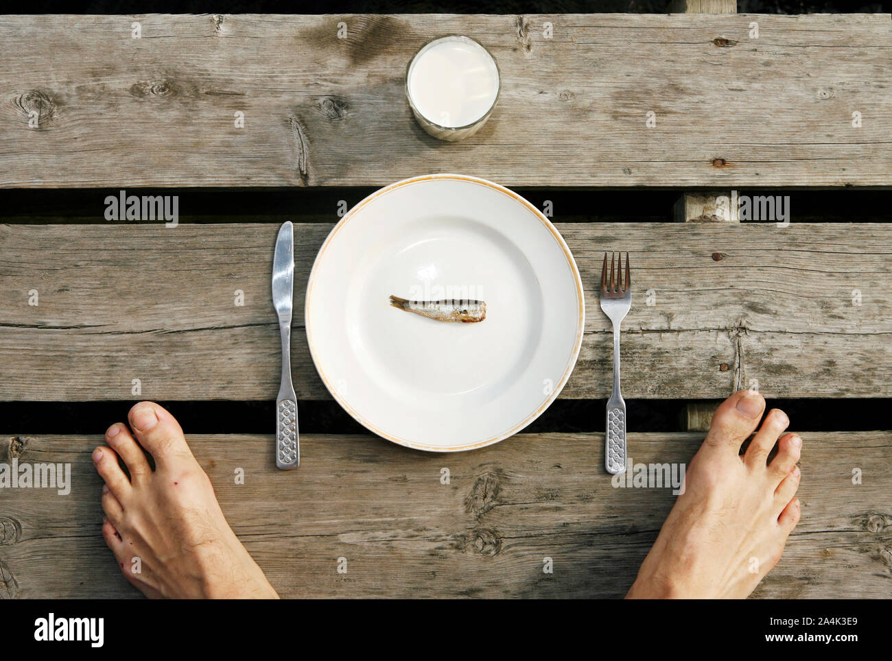 Fish with meals hi-res stock photography and images - Alamy