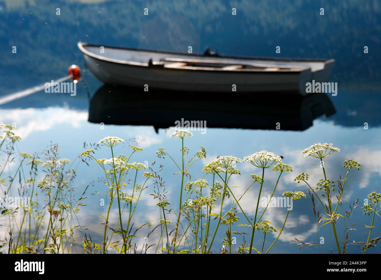 Rowboats on water hi-res stock photography and images - Alamy