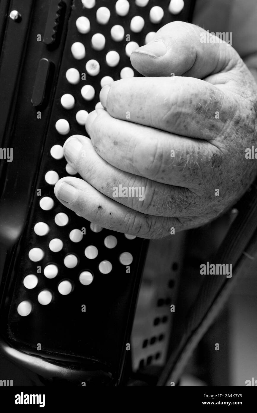 Playing the Accordion Stock Photo - Alamy