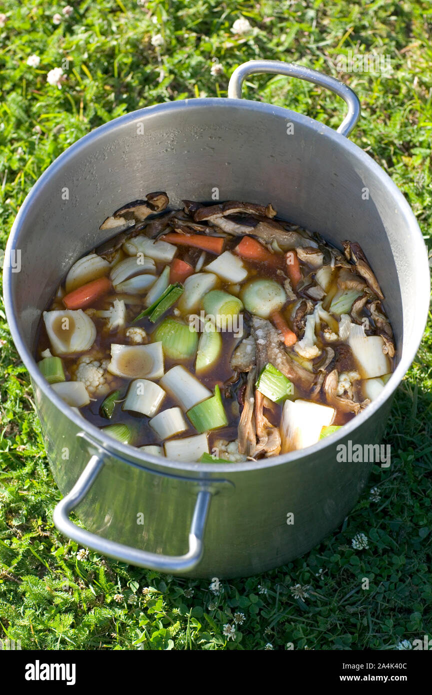 Making a soup Stock Photo - Alamy