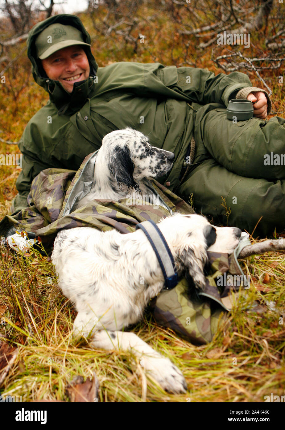 English setters hi-res stock photography and images - Alamy