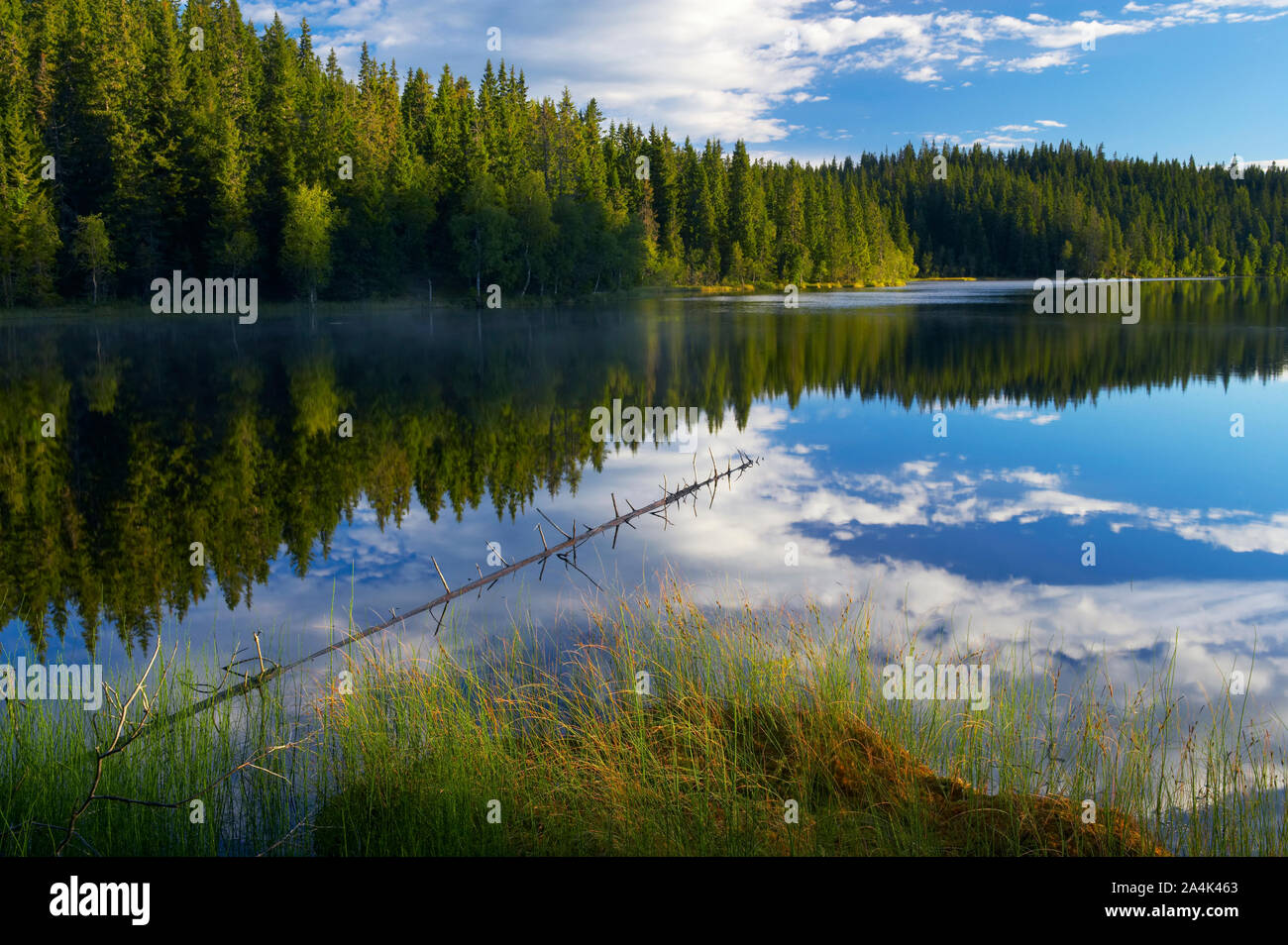 Oslo norway nordmarka hi-res stock photography and images - Alamy