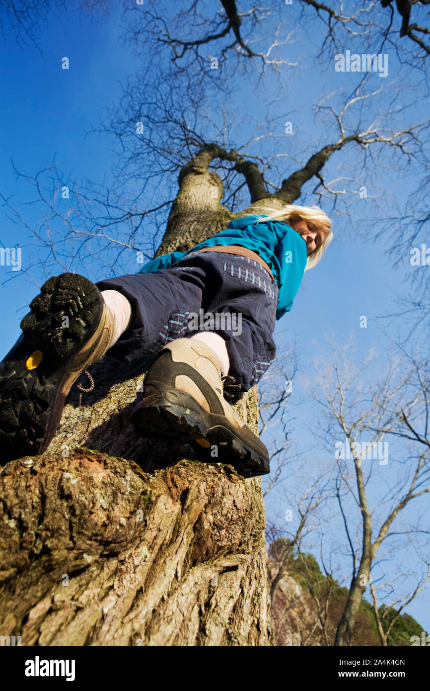 Teens tree climbing hi-res stock photography and images - Alamy