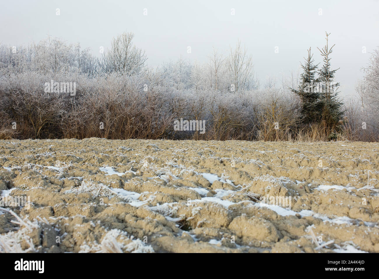 Frozen field in Norway Stock Photo - Alamy