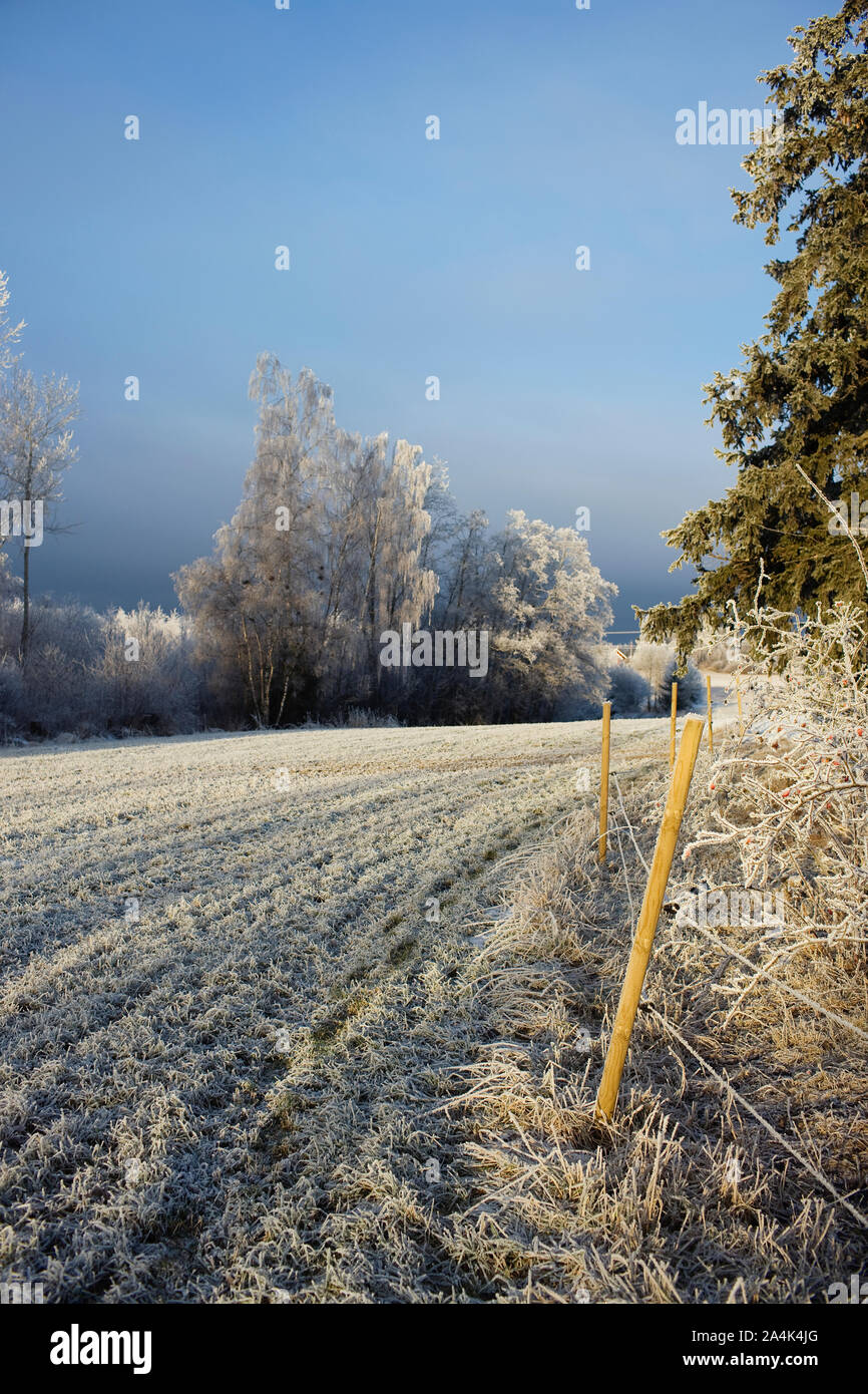 Frozen field in Norway Stock Photo - Alamy