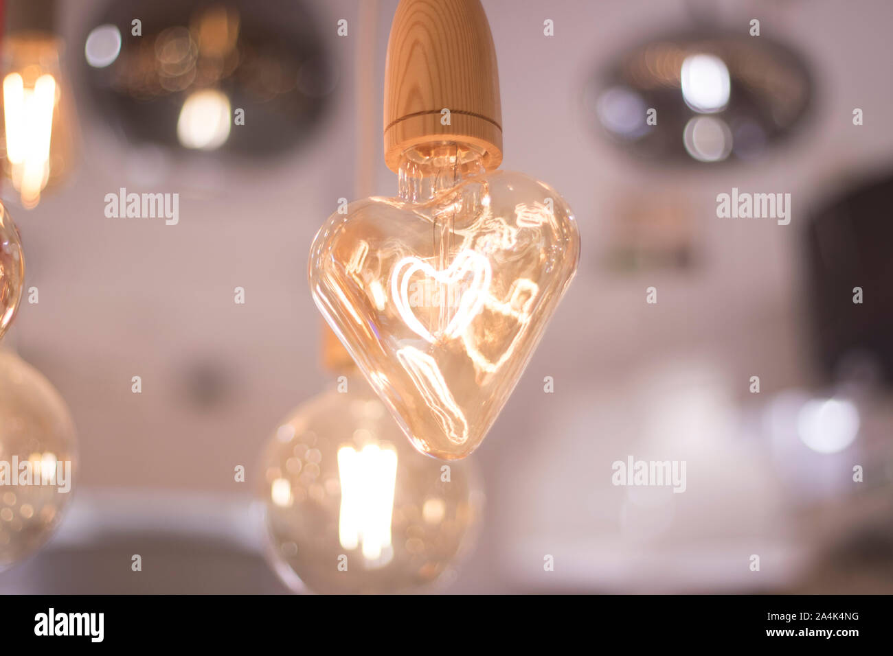 LED modern lights and bulbs on display in store lighting department ...