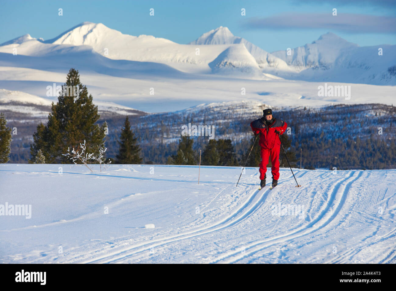 Skiing in Rondane, Norway Stock Photo - Alamy