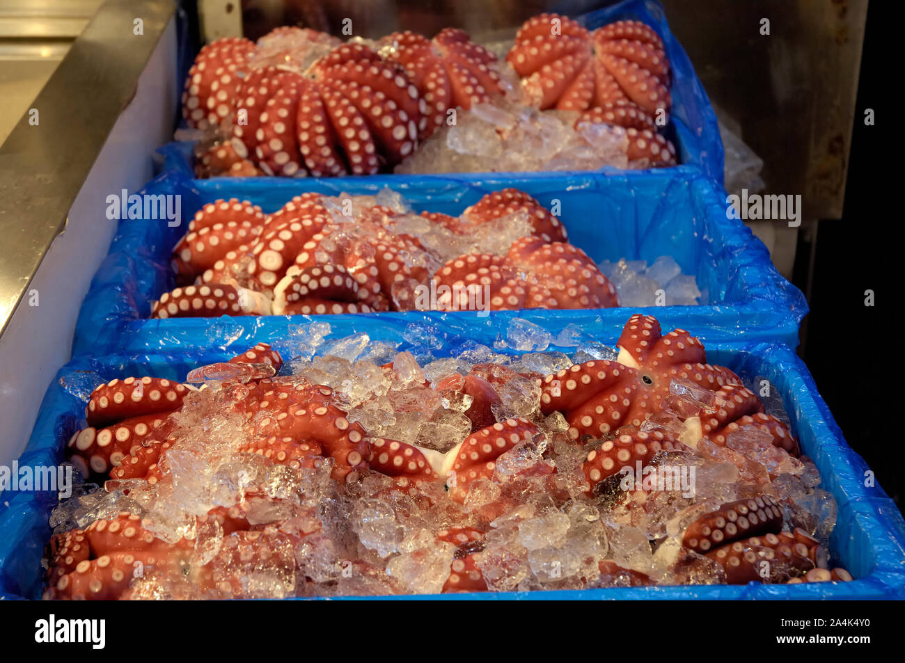 Tokyo tsukiji fishmarket hi-res stock photography and images - Alamy