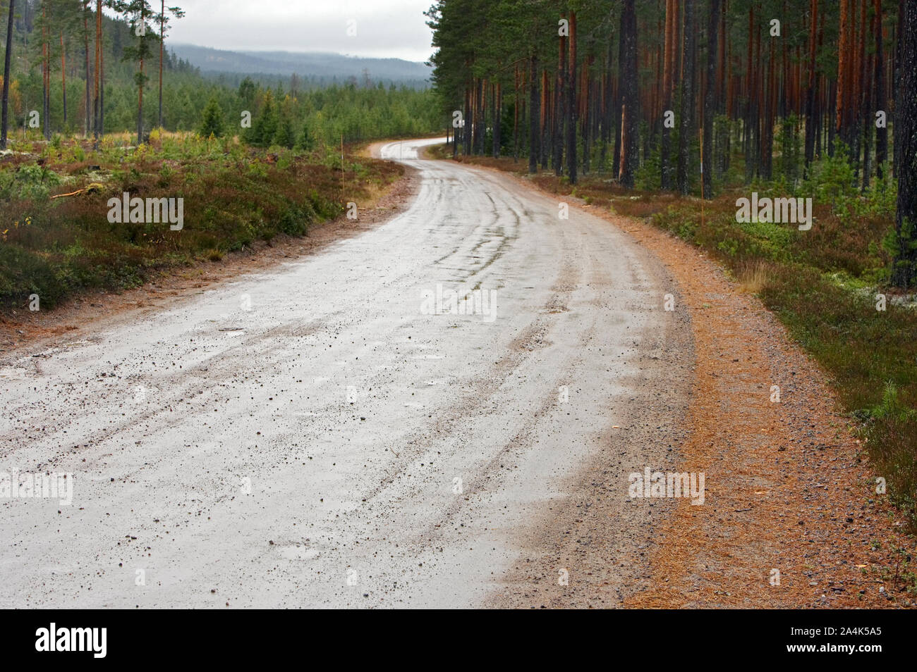 Country road, Finnskogen in Hedmark Stock Photo - Alamy