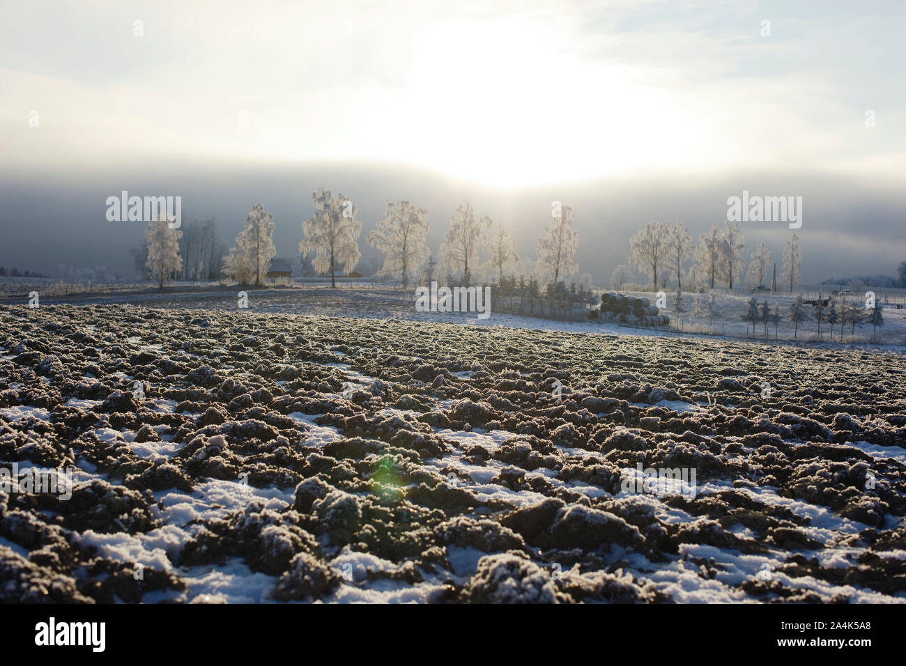 Frozen field in Norway Stock Photo - Alamy