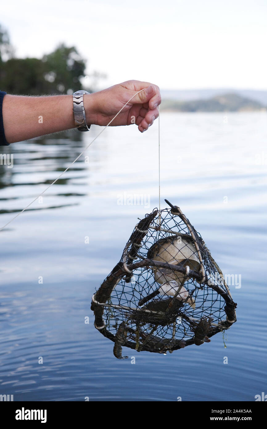 Man holding crawfish catch in fish trap Stock Photo - Alamy