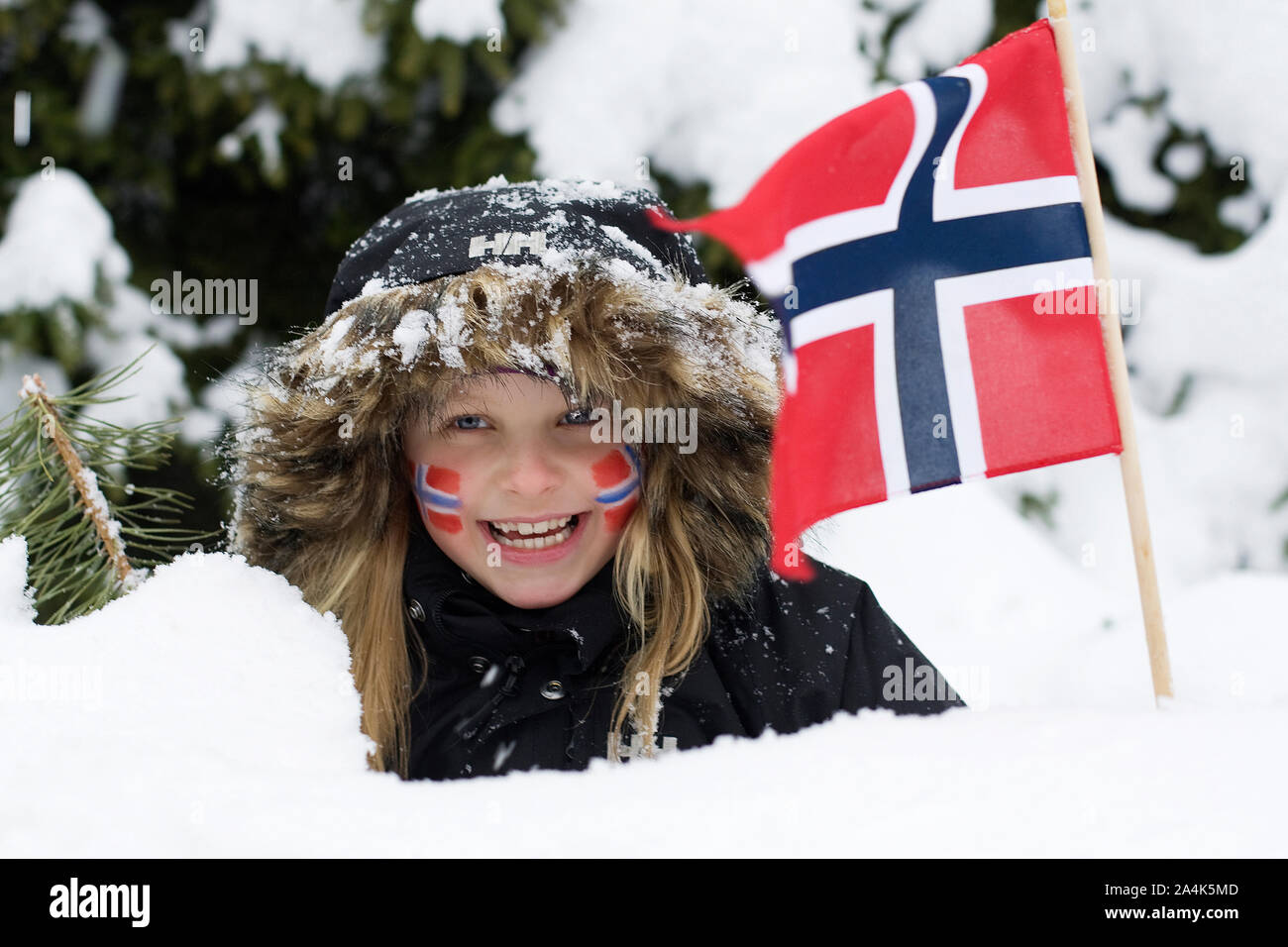 Norwegian Flag Painted On Girl' Face On Cheek Stock Photo - Alamy