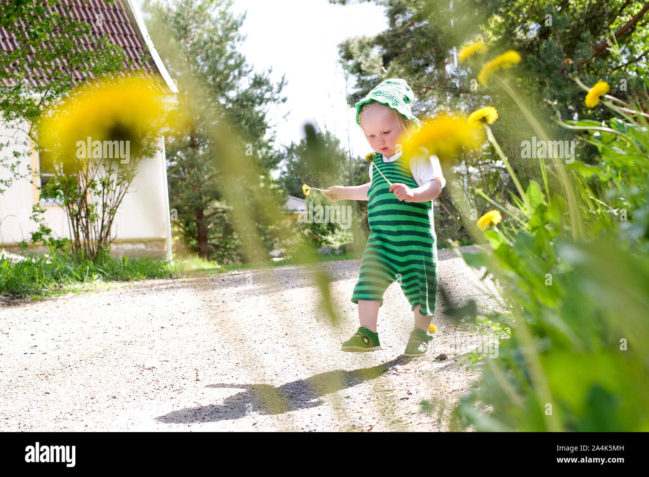 Portrait of child walking with flower in hand Stock Photo - Alamy