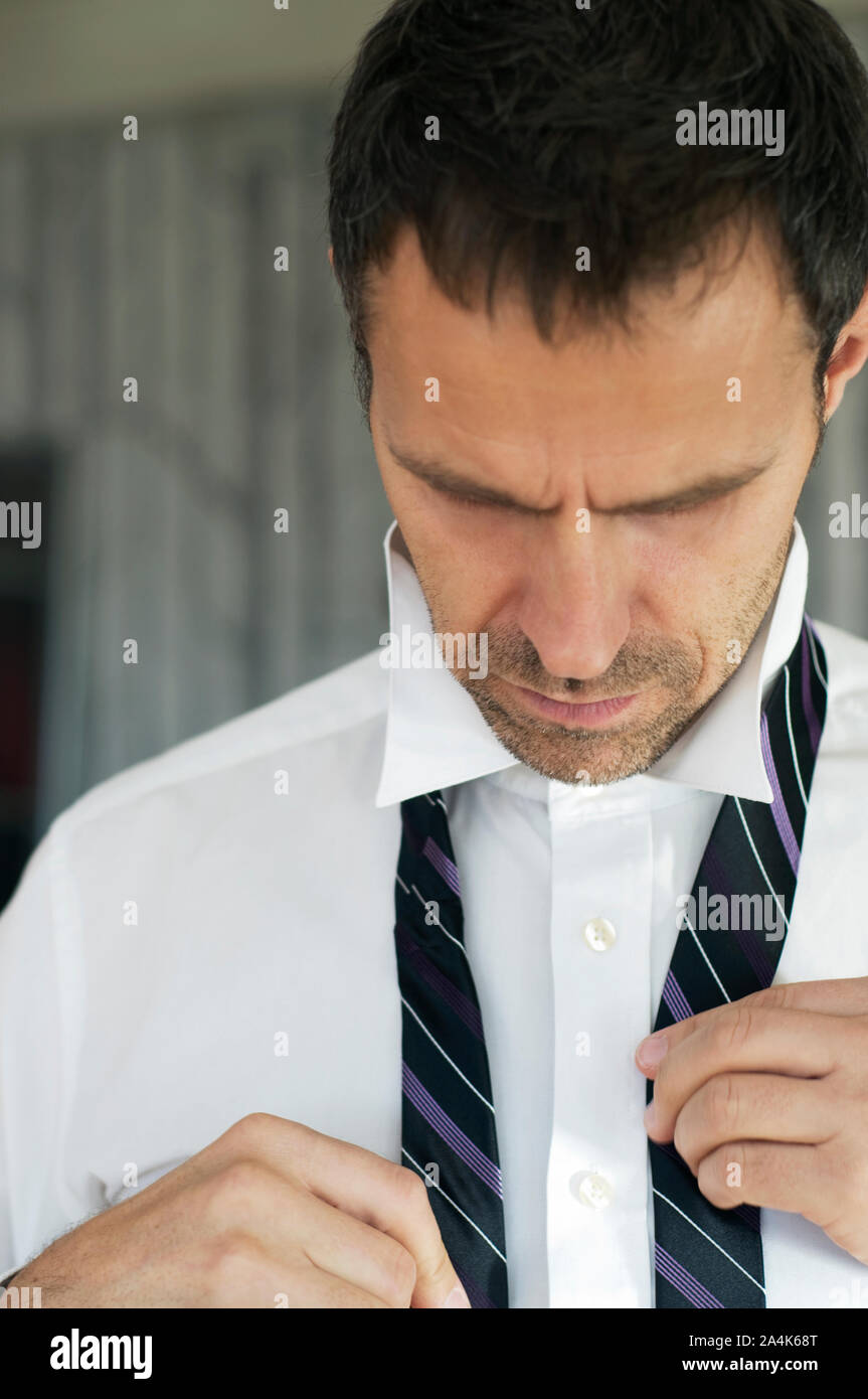 Dressed as humans hi-res stock photography and images - Alamy