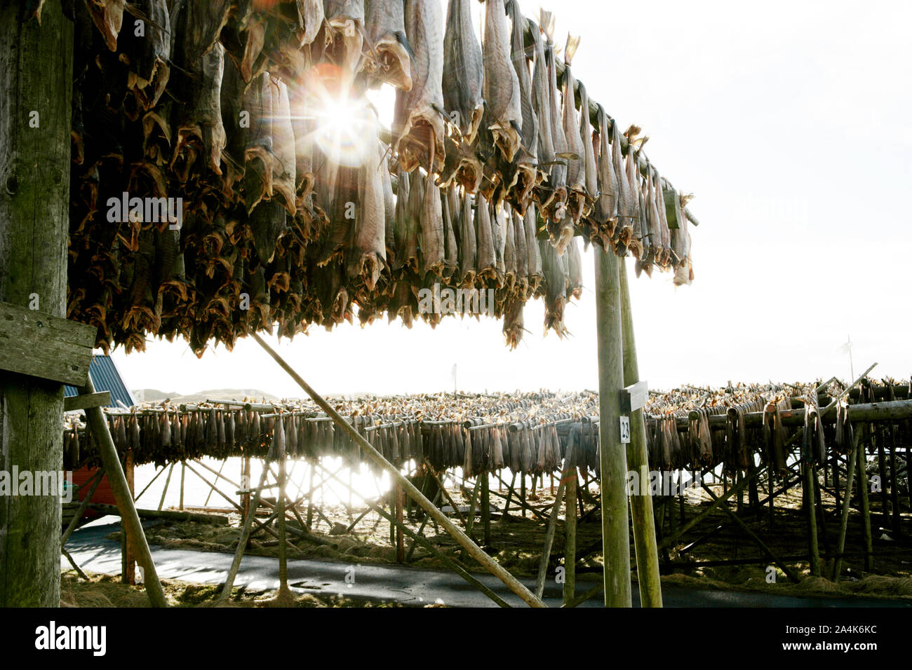 Drying racks with stockfish at RÂØst Stock Photo - Alamy