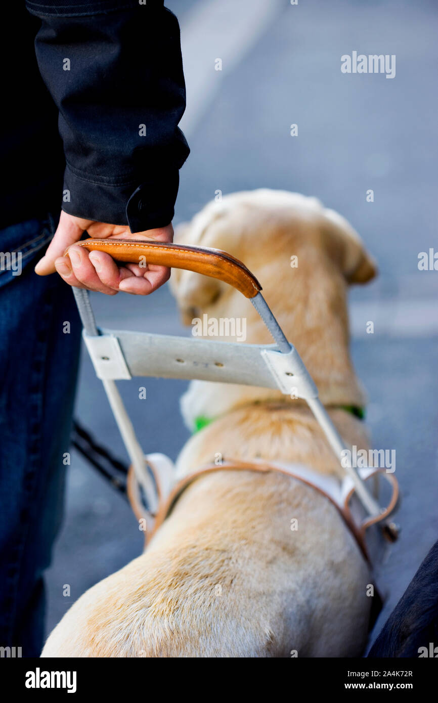 Blind man with guide dog Stock Photo - Alamy