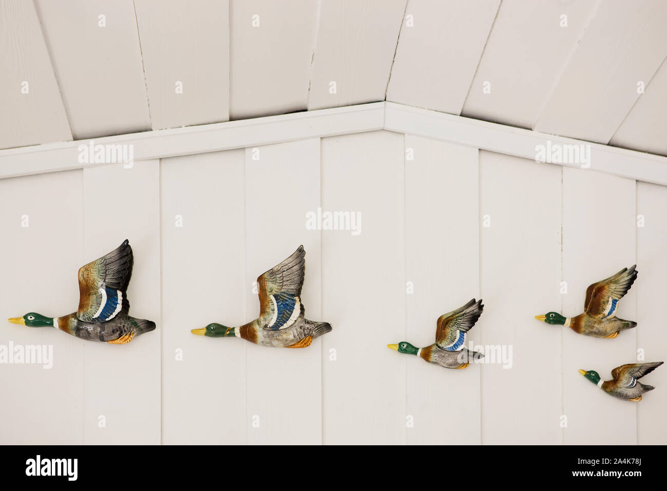 Decorative ceramic ducks on white painted wall Stock Photo - Alamy