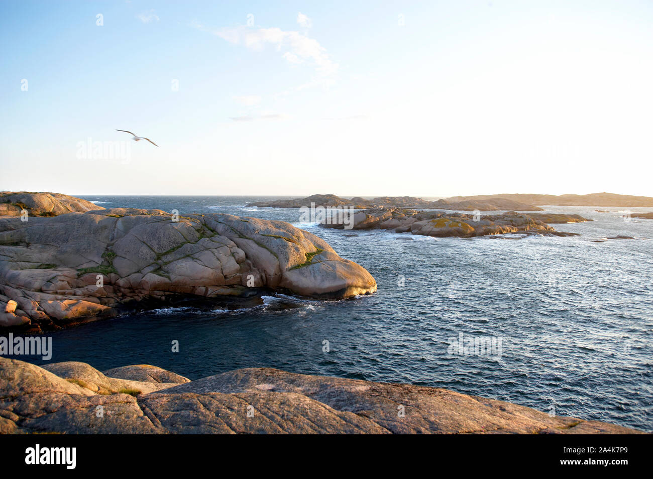 Coastal landscape in Sweden Stock Photo - Alamy