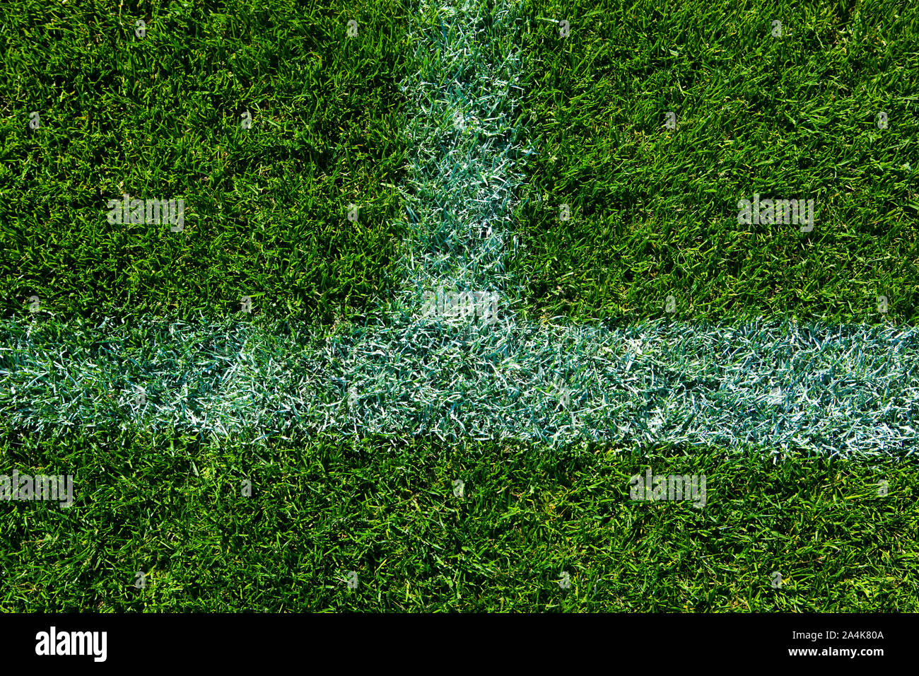 Detail of markings on football field Stock Photo - Alamy