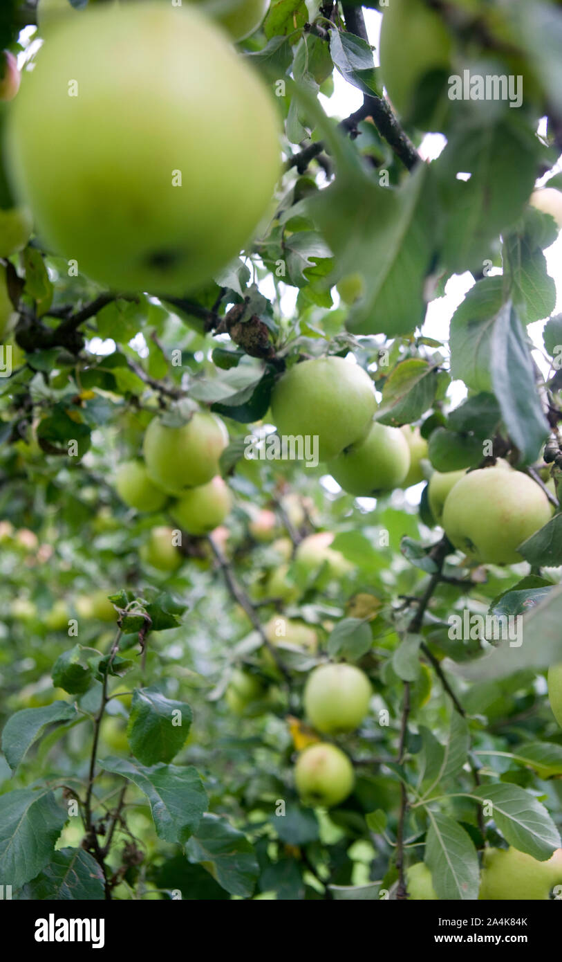 With nature and trees hi-res stock photography and images - Alamy