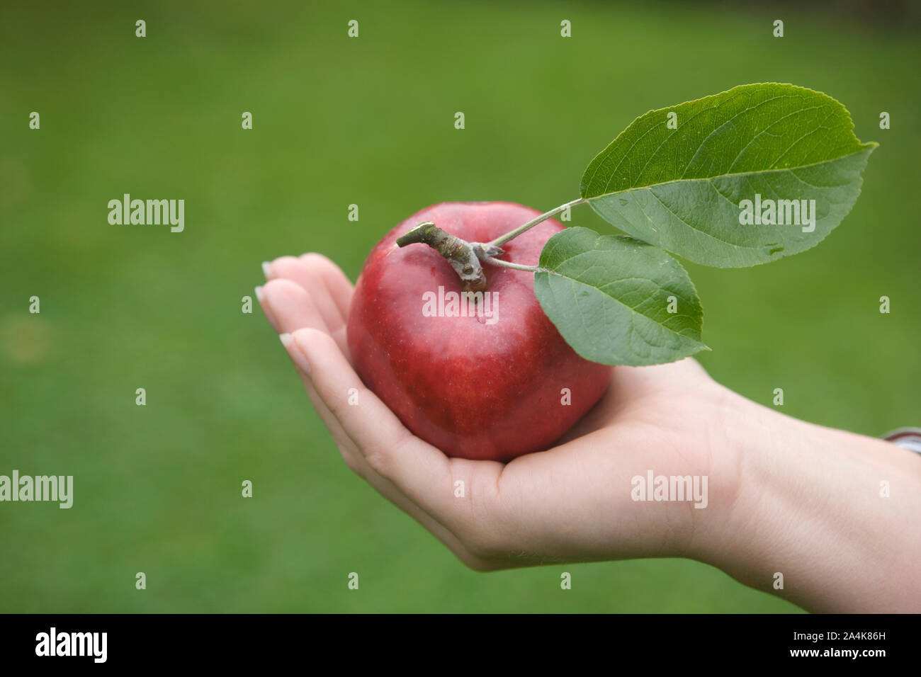 Symbols bodies hi-res stock photography and images - Alamy