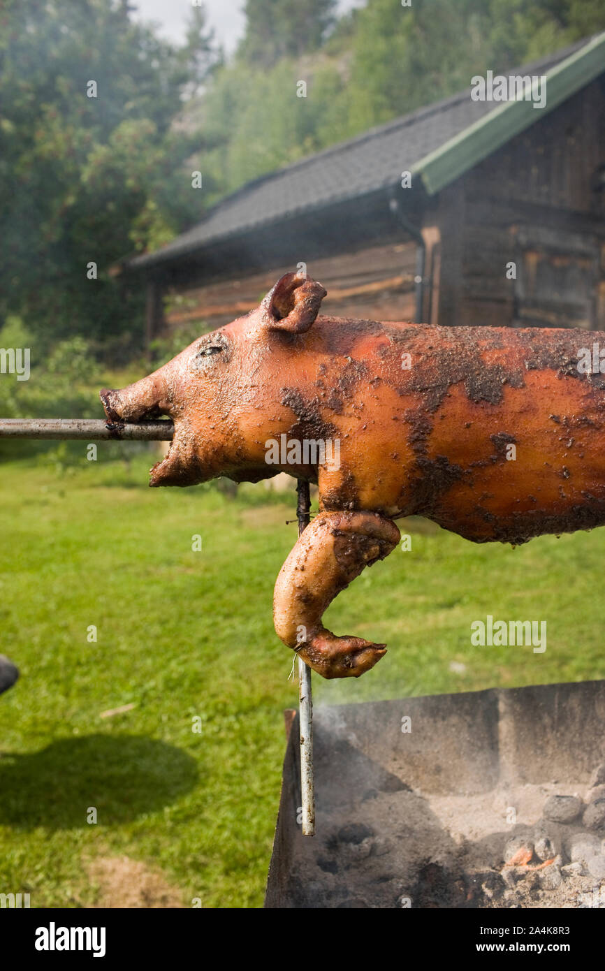 Barbecuing a pig Stock Photo - Alamy