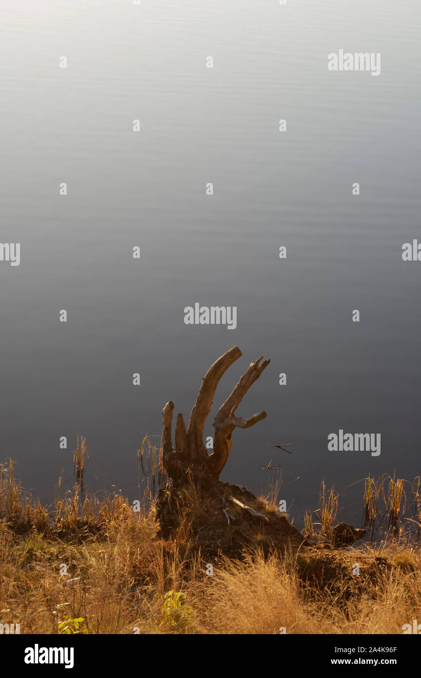 Edge of a lake Stock Photo - Alamy