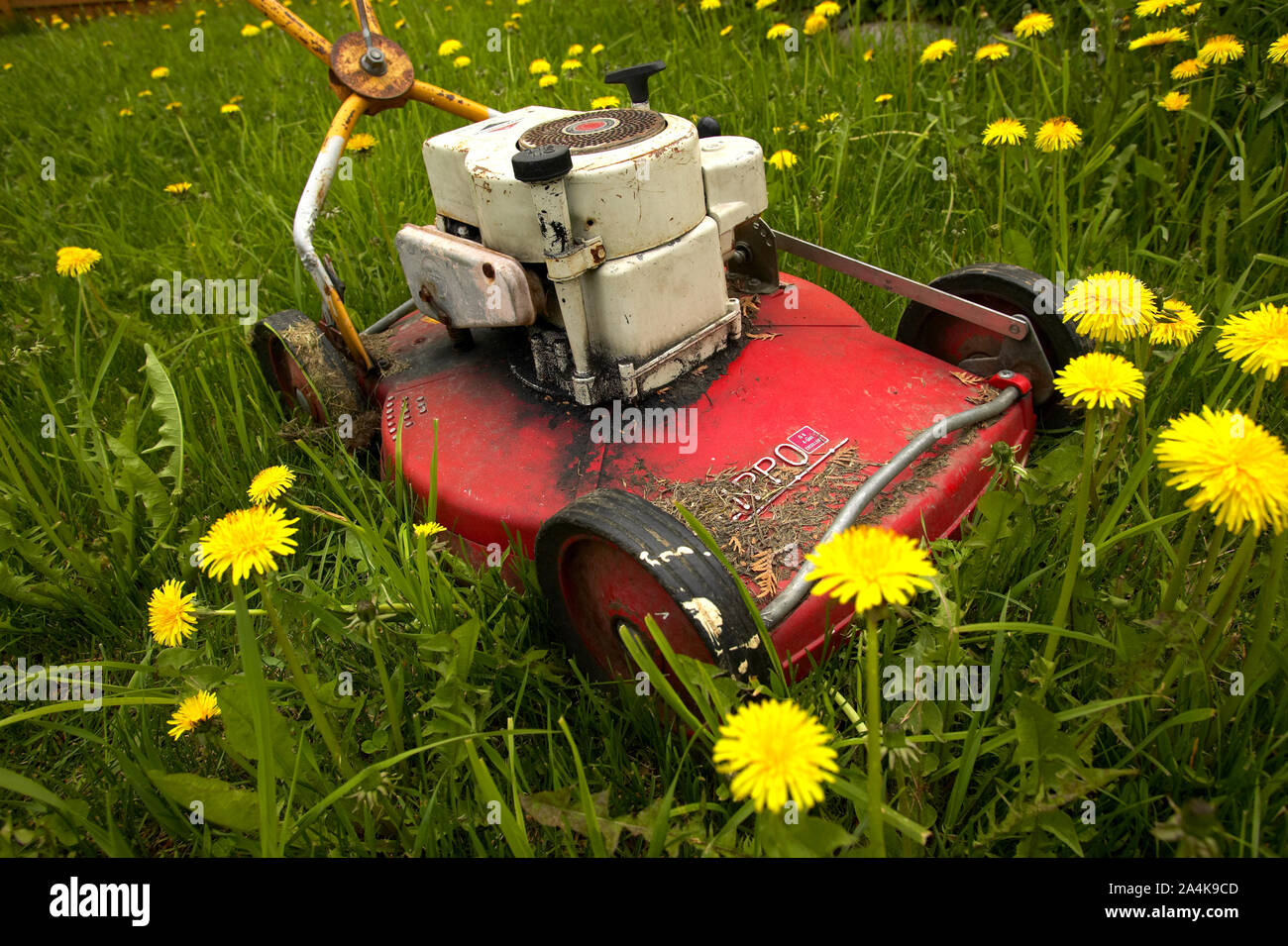 Lawnmowers hi-res stock photography and images - Alamy