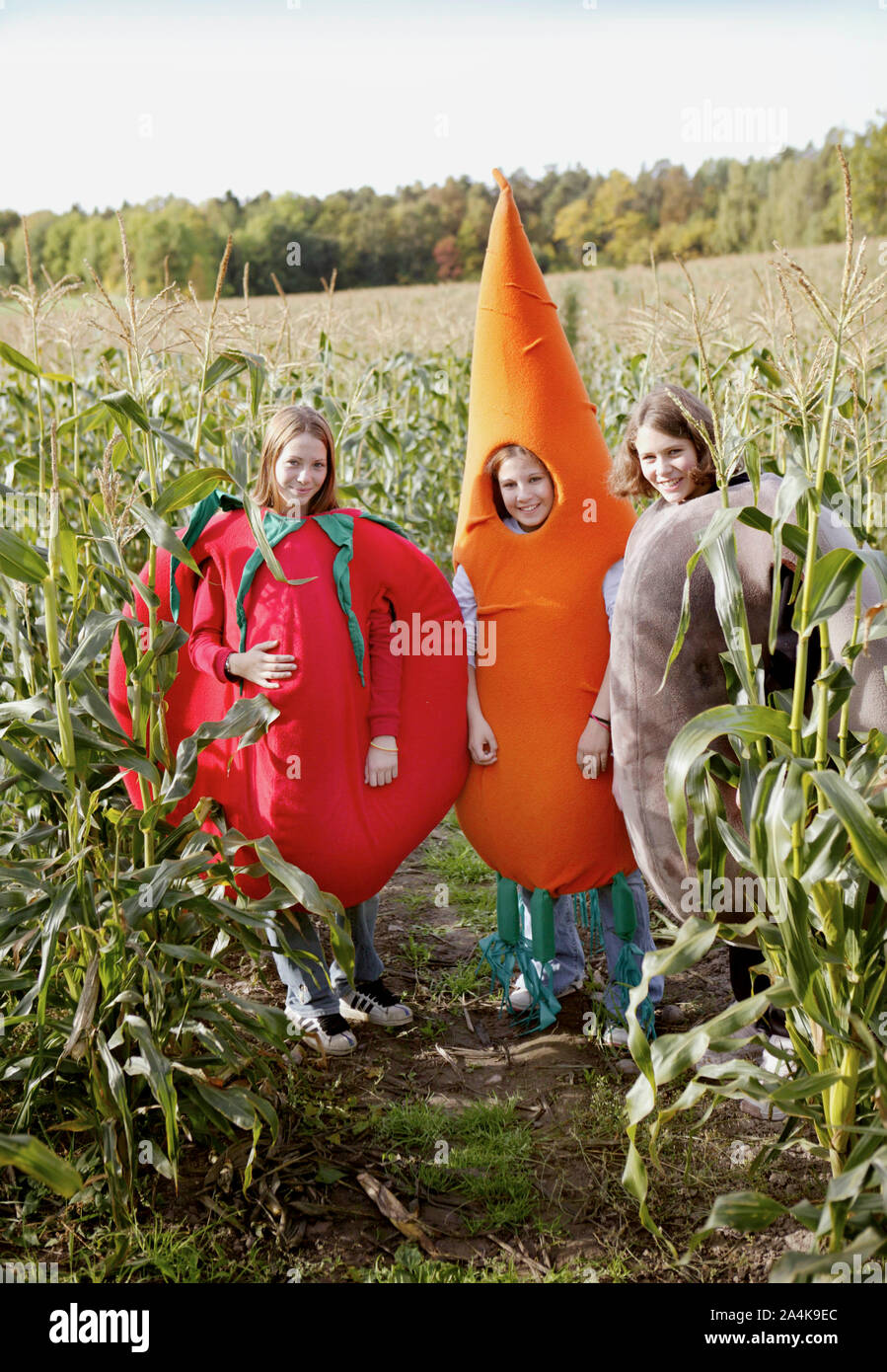 Kids wearing vegetable suits - vegetables - carrot Stock Photo - Alamy