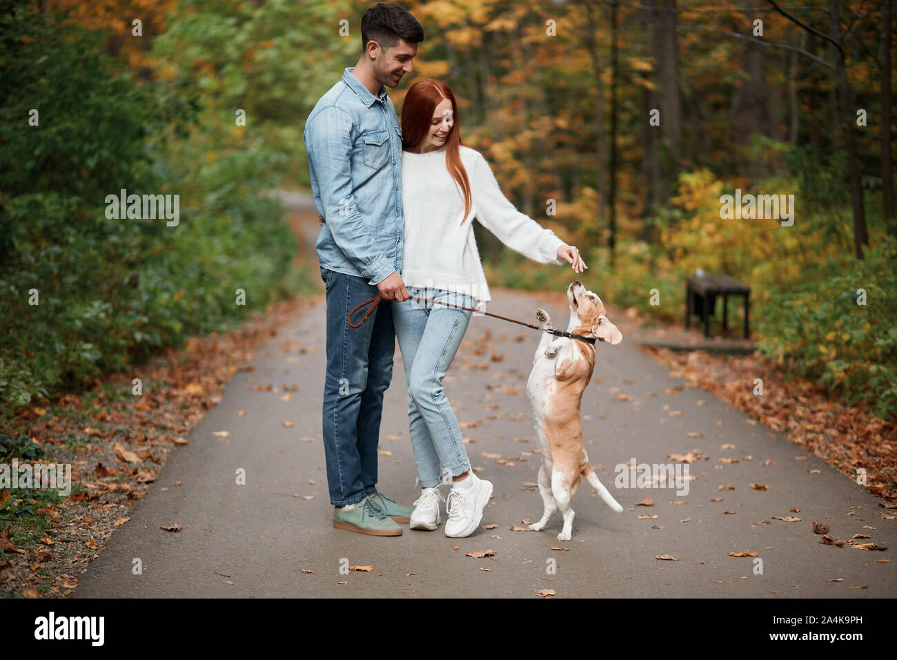 smiling good looking family enjoying spending time with dog in the ...