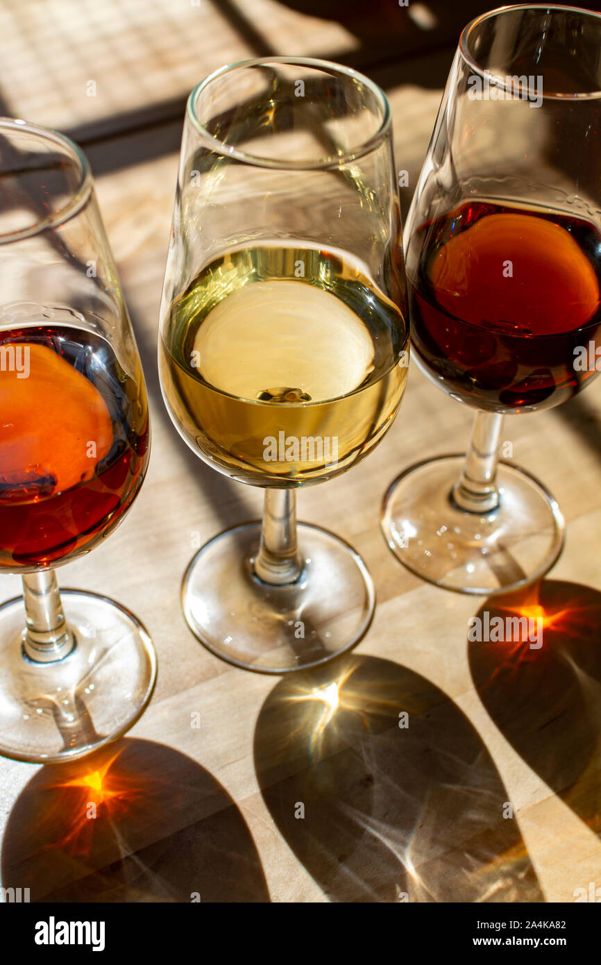 Sherry wine tasting in wine cellars, selection of different jerez ...