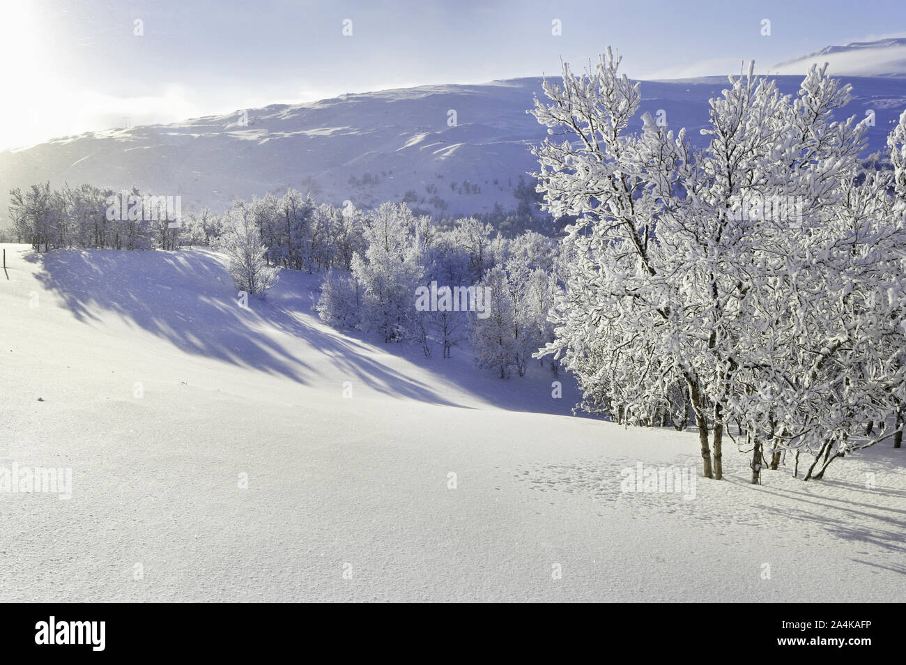 Ringebufjellet hi-res stock photography and images - Alamy