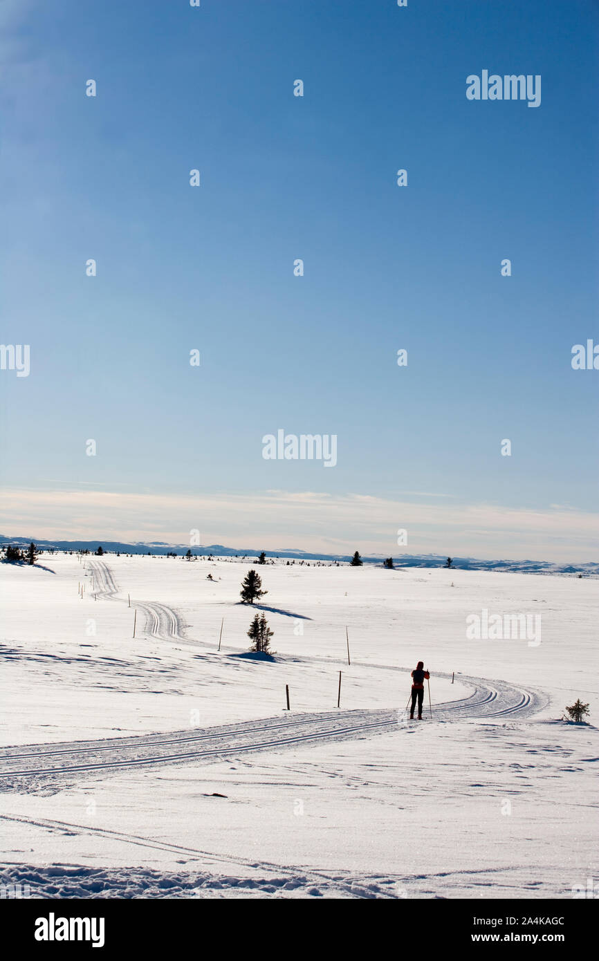 Golsfjellet in Hallingdal valley in Norway Stock Photo - Alamy