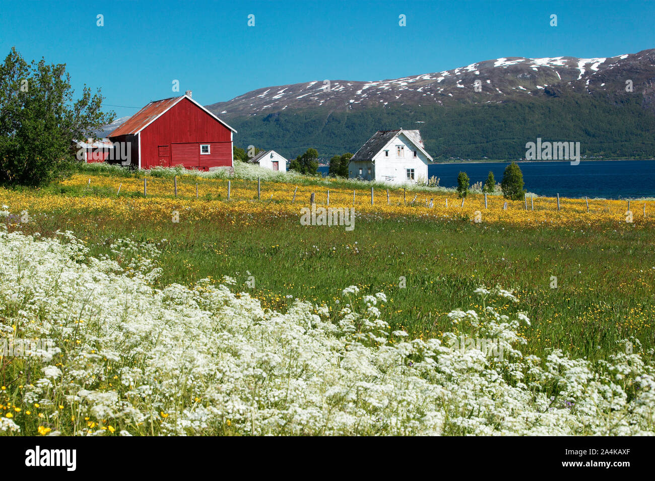Farm in Norway Stock Photo - Alamy