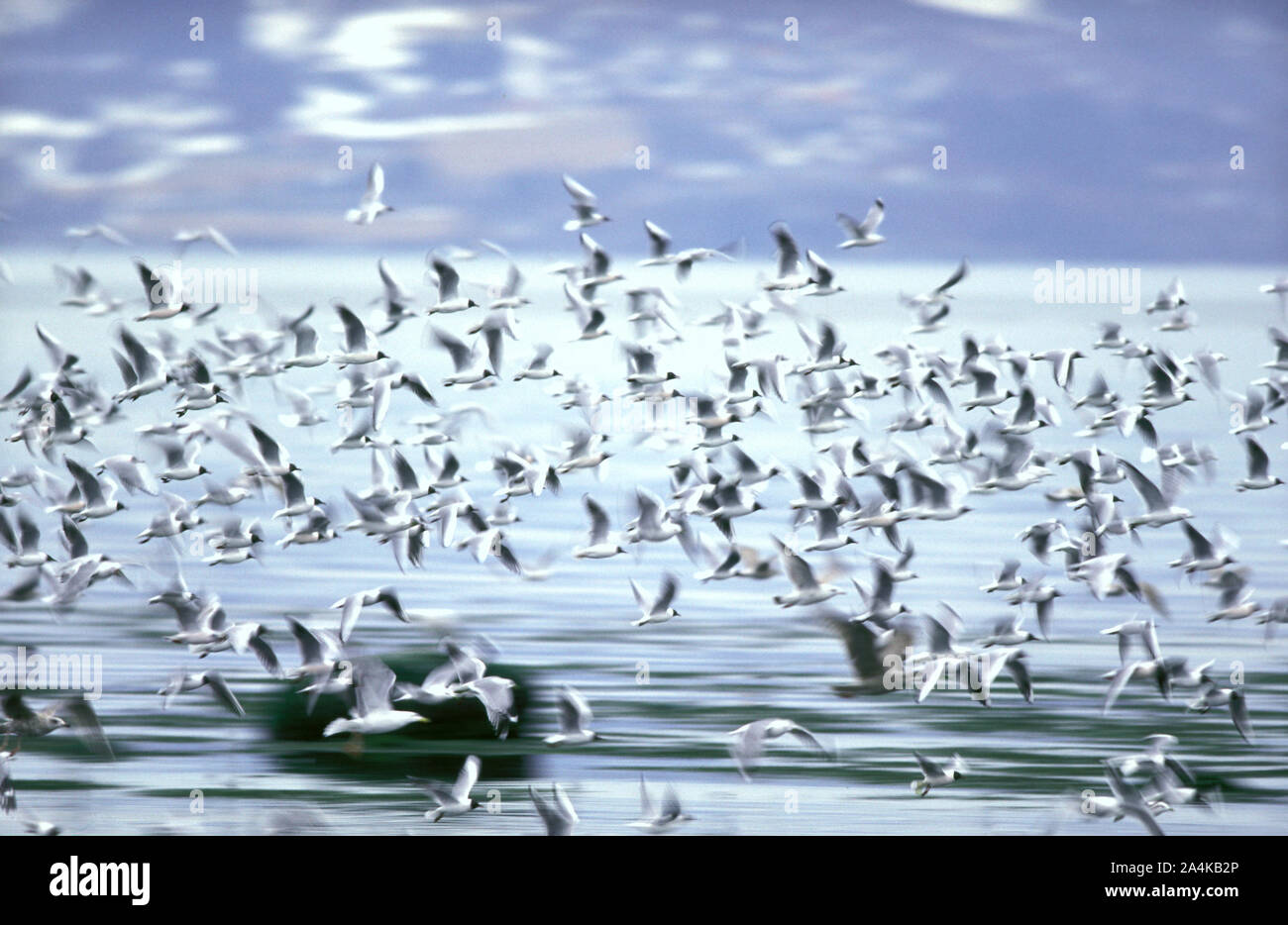 Flight movements hi-res stock photography and images - Alamy