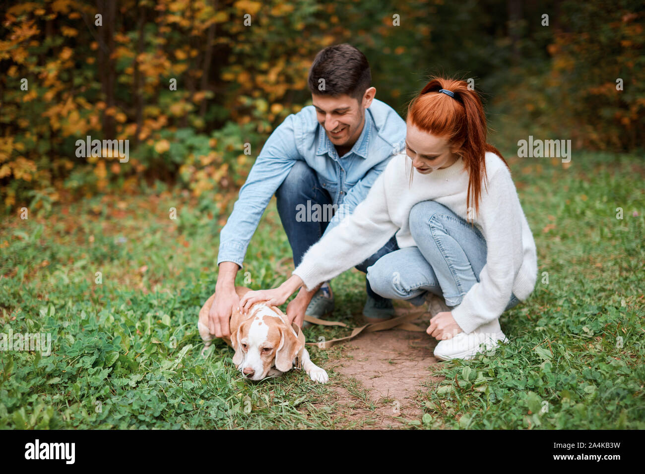 happy young handsoem mand and ginger girl taking care of their pet ...