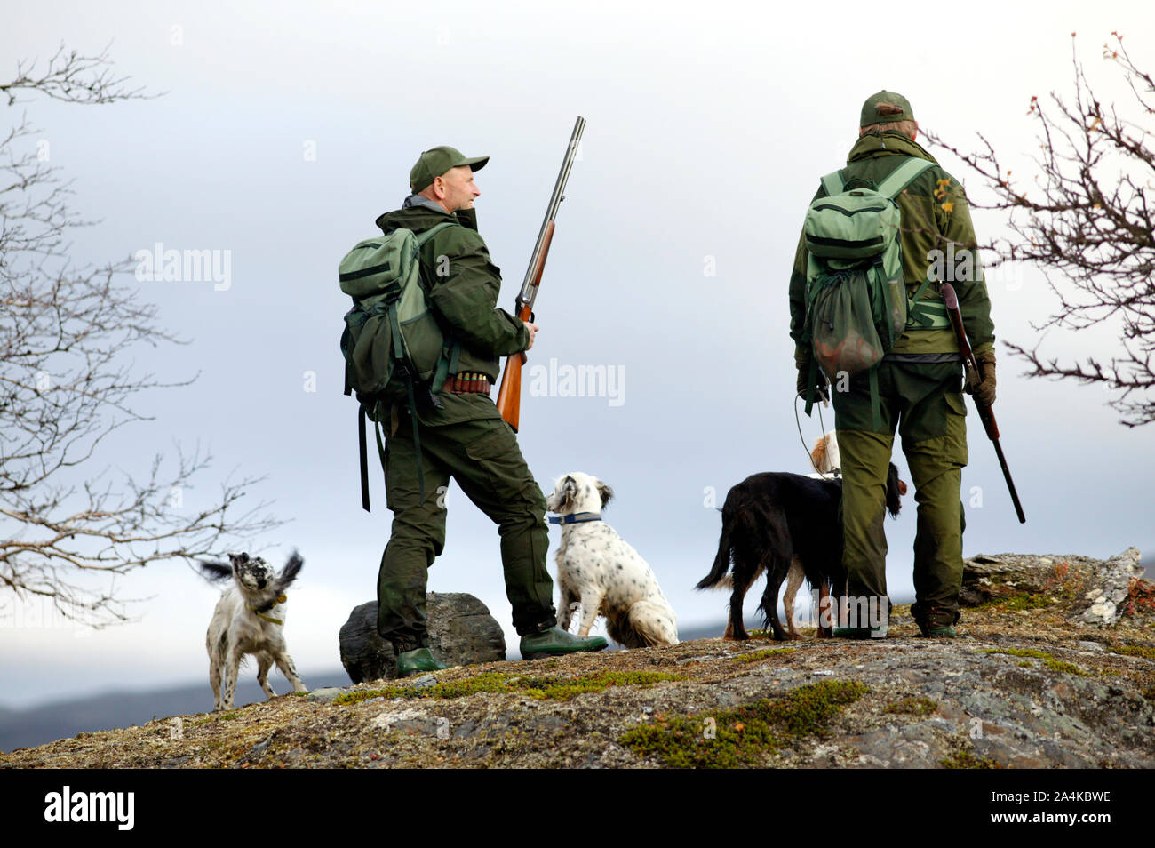 Men hunting with dogs Stock Photo - Alamy
