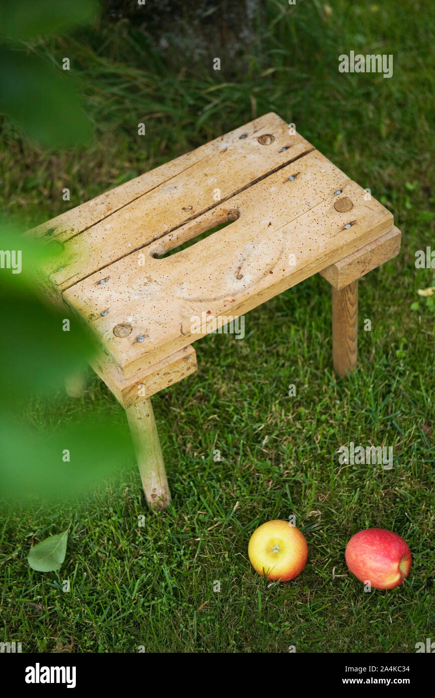 Stool on grass Stock Photo - Alamy