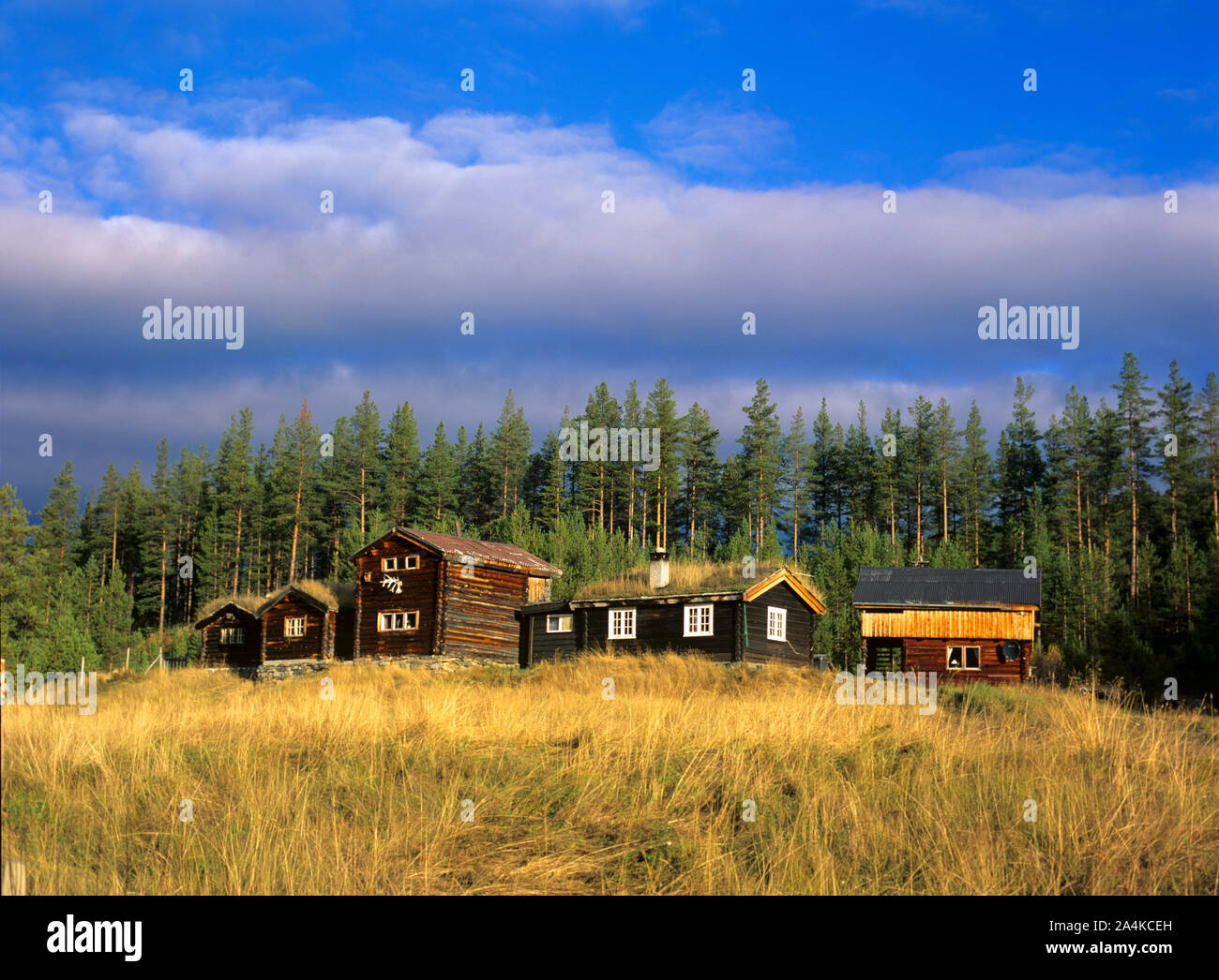 Heidal hi-res stock photography and images - Alamy