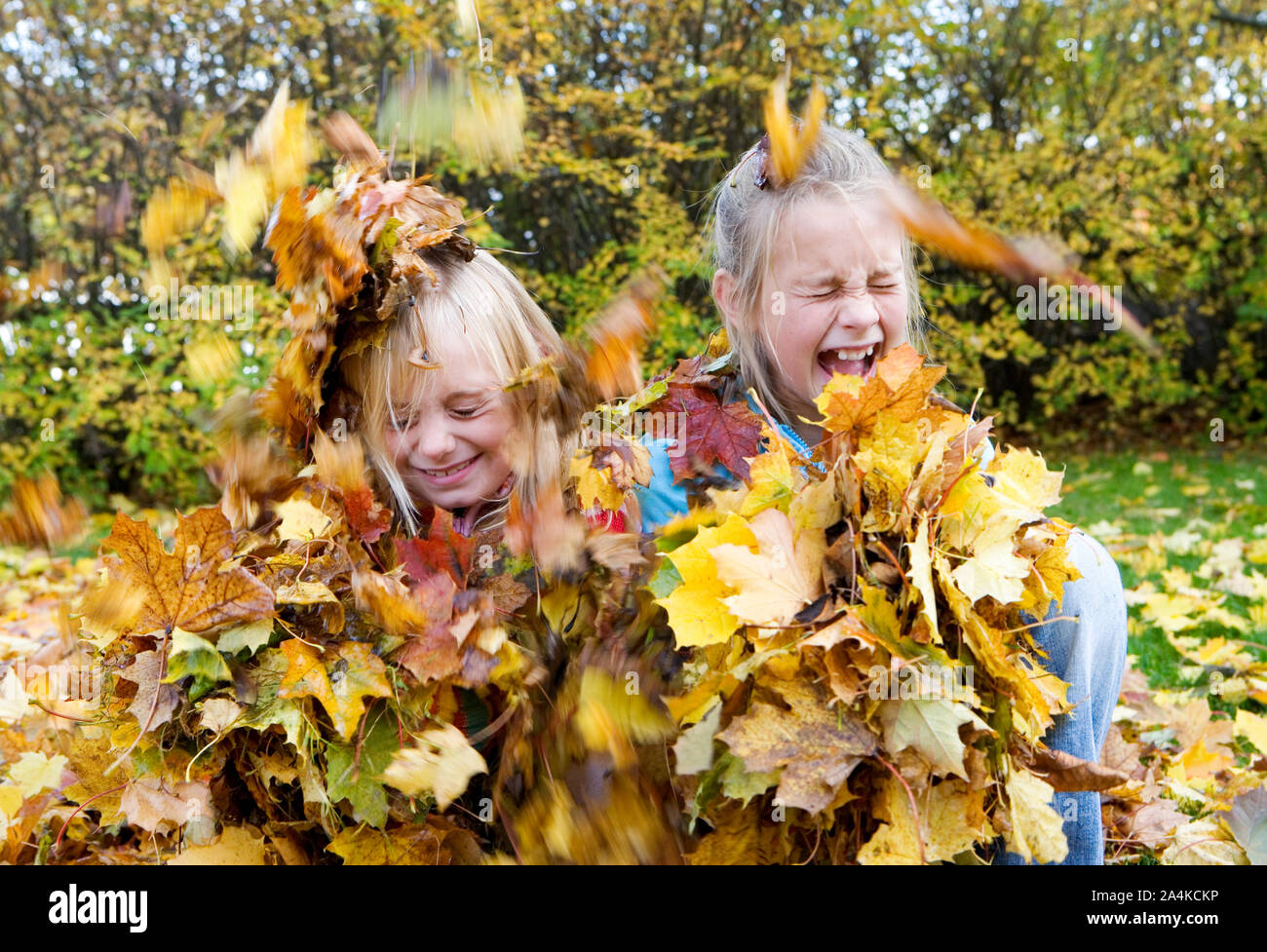 Young girls in garden Stock Photo - Alamy