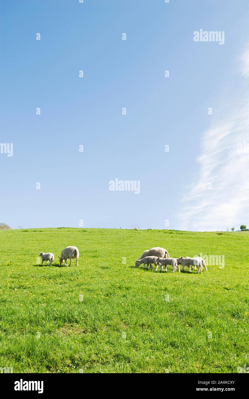 Vinstra hi-res stock photography and images - Alamy