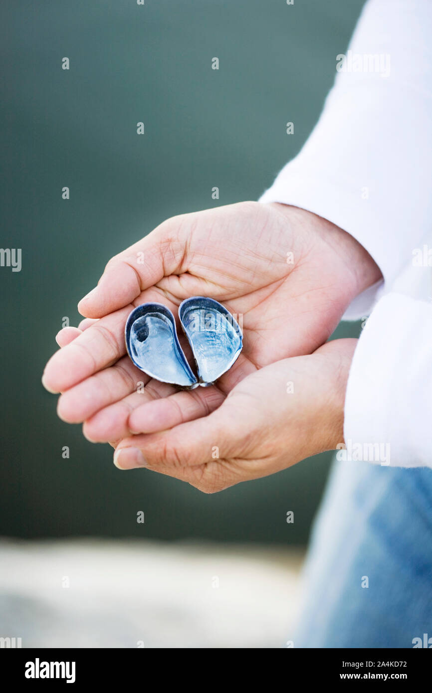 Holding a shell Stock Photo - Alamy