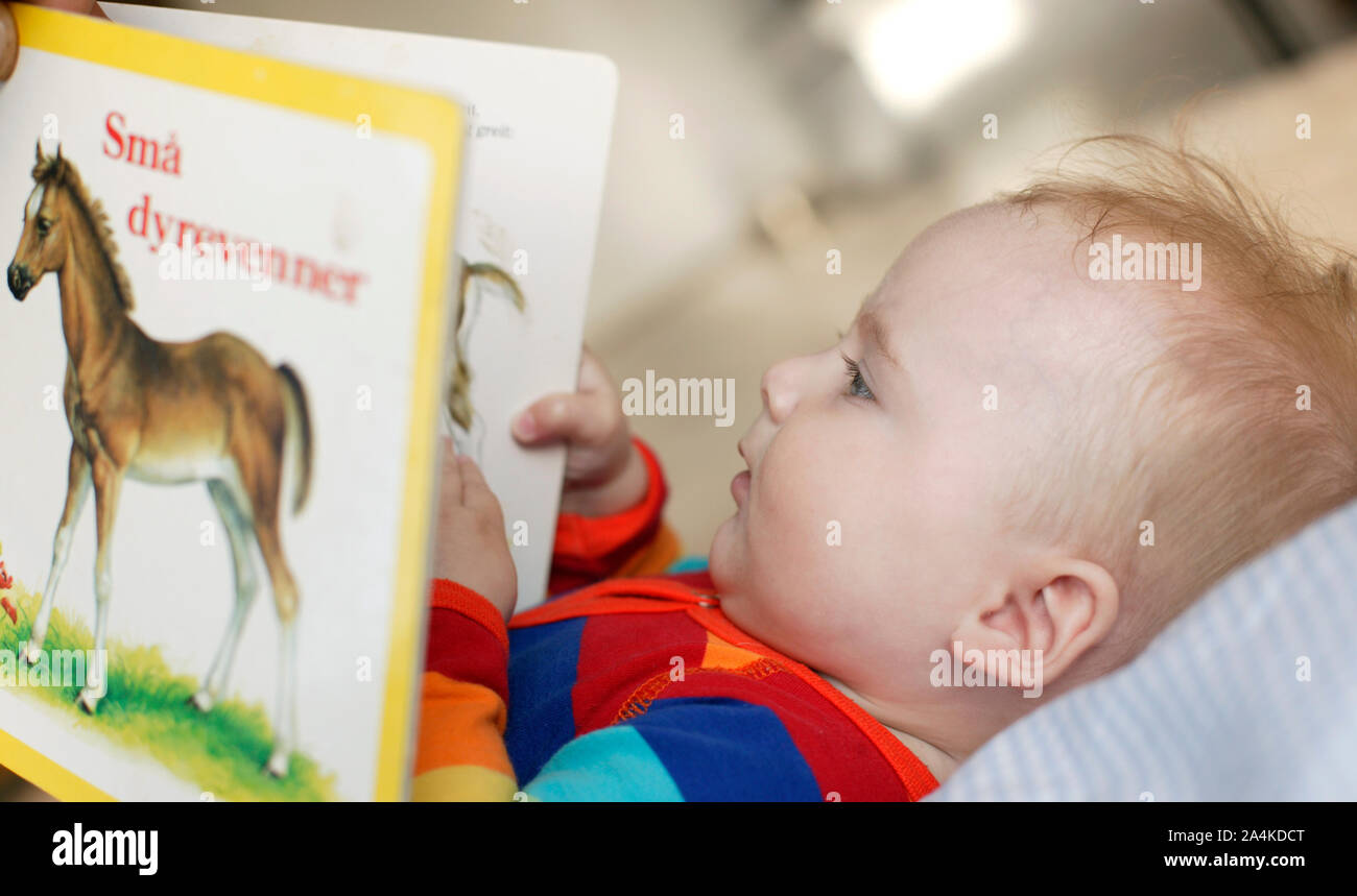 Baby reading book Stock Photo - Alamy