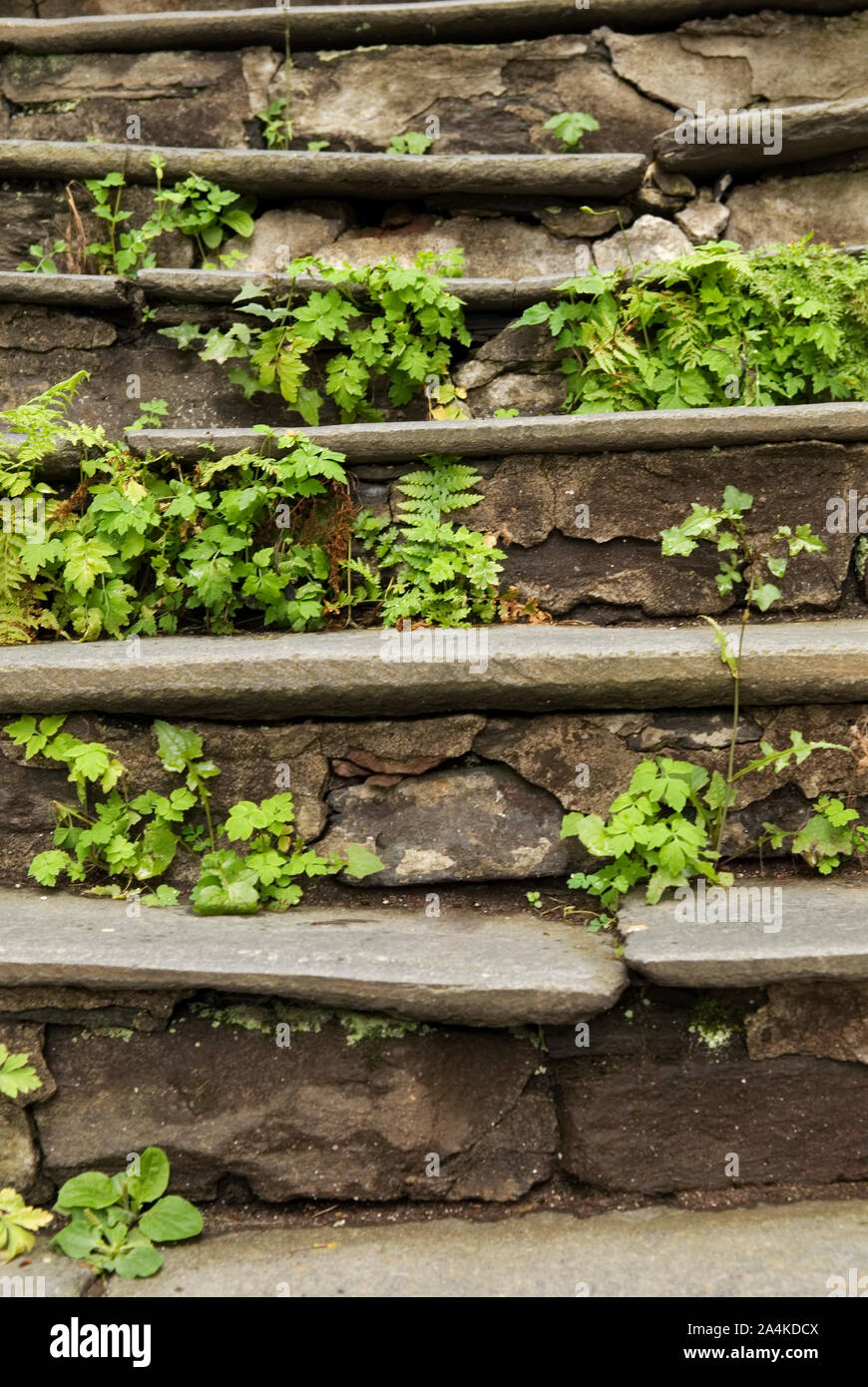Slate Stairs Steps High Resolution Stock Photography and Images - Alamy