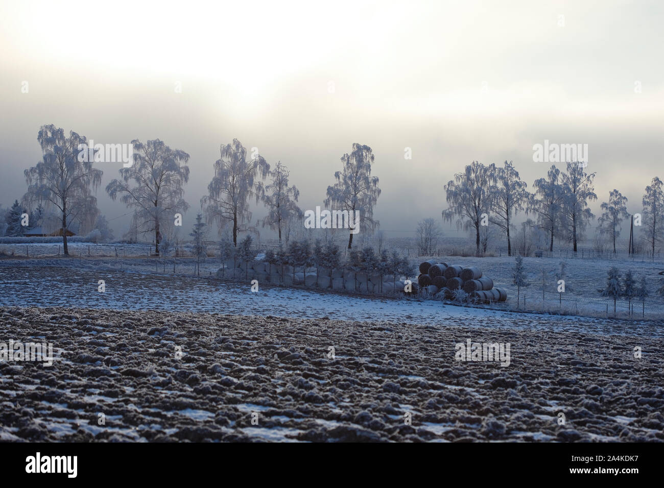 Frozen field in Norway Stock Photo - Alamy