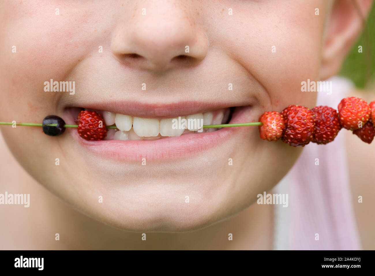 Berries alone hi-res stock photography and images - Alamy