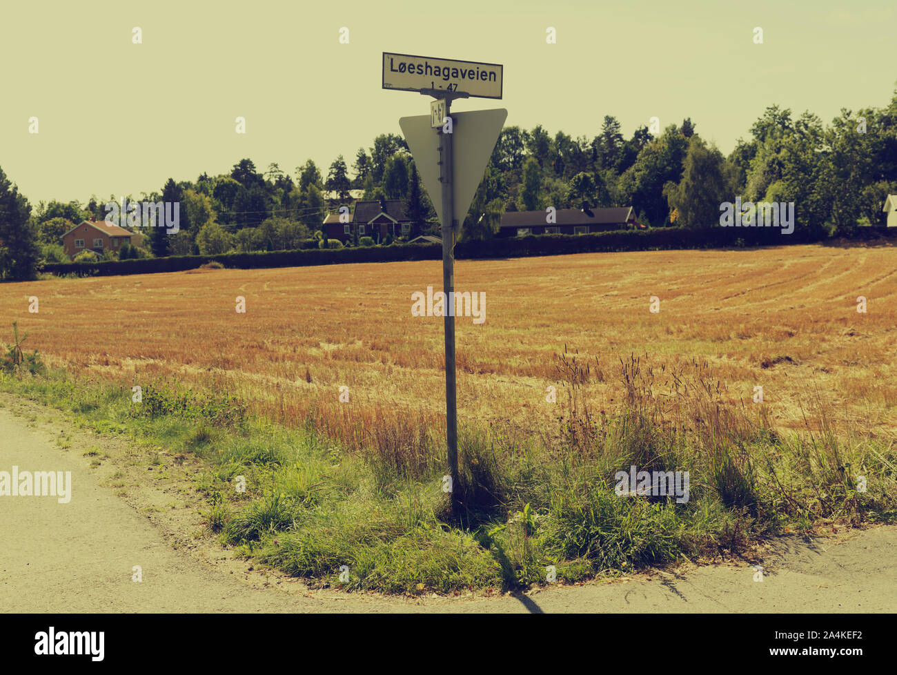 Crossroads with roadsign Stock Photo - Alamy