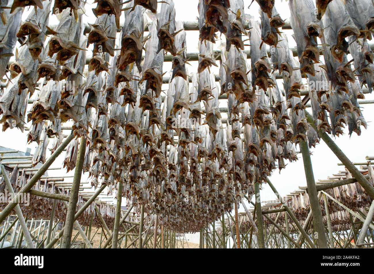 Drying racks in RÂØst Stock Photo - Alamy