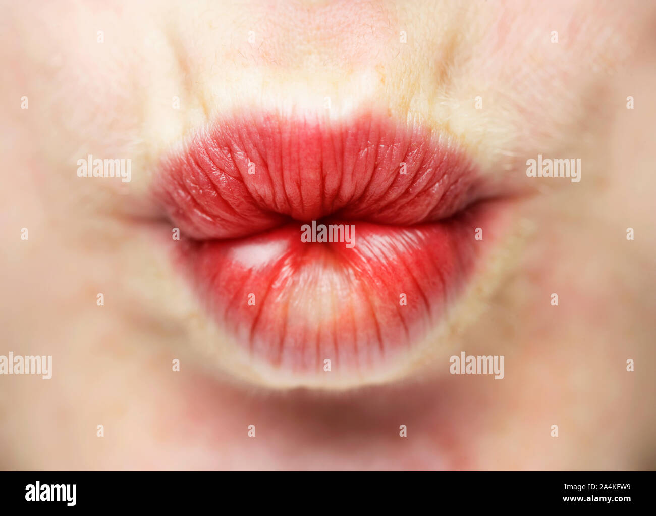 50 details hi-res stock photography and images - Alamy